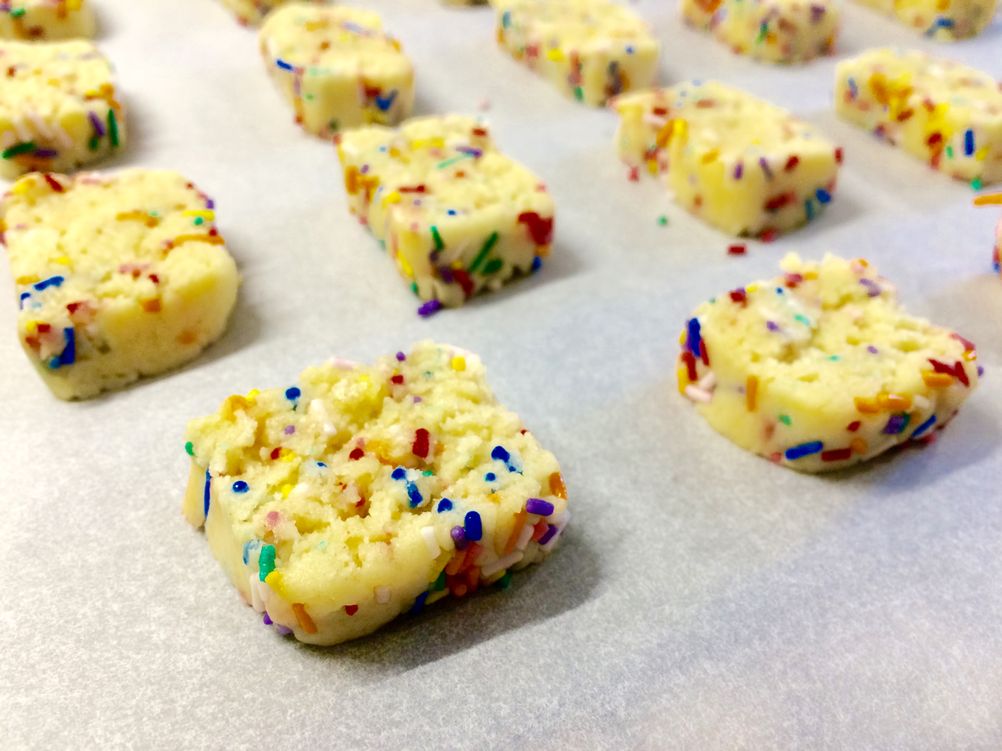 Foolproof Funfetti Icebox Sugar Cookies – Andrew in the Kitchen
