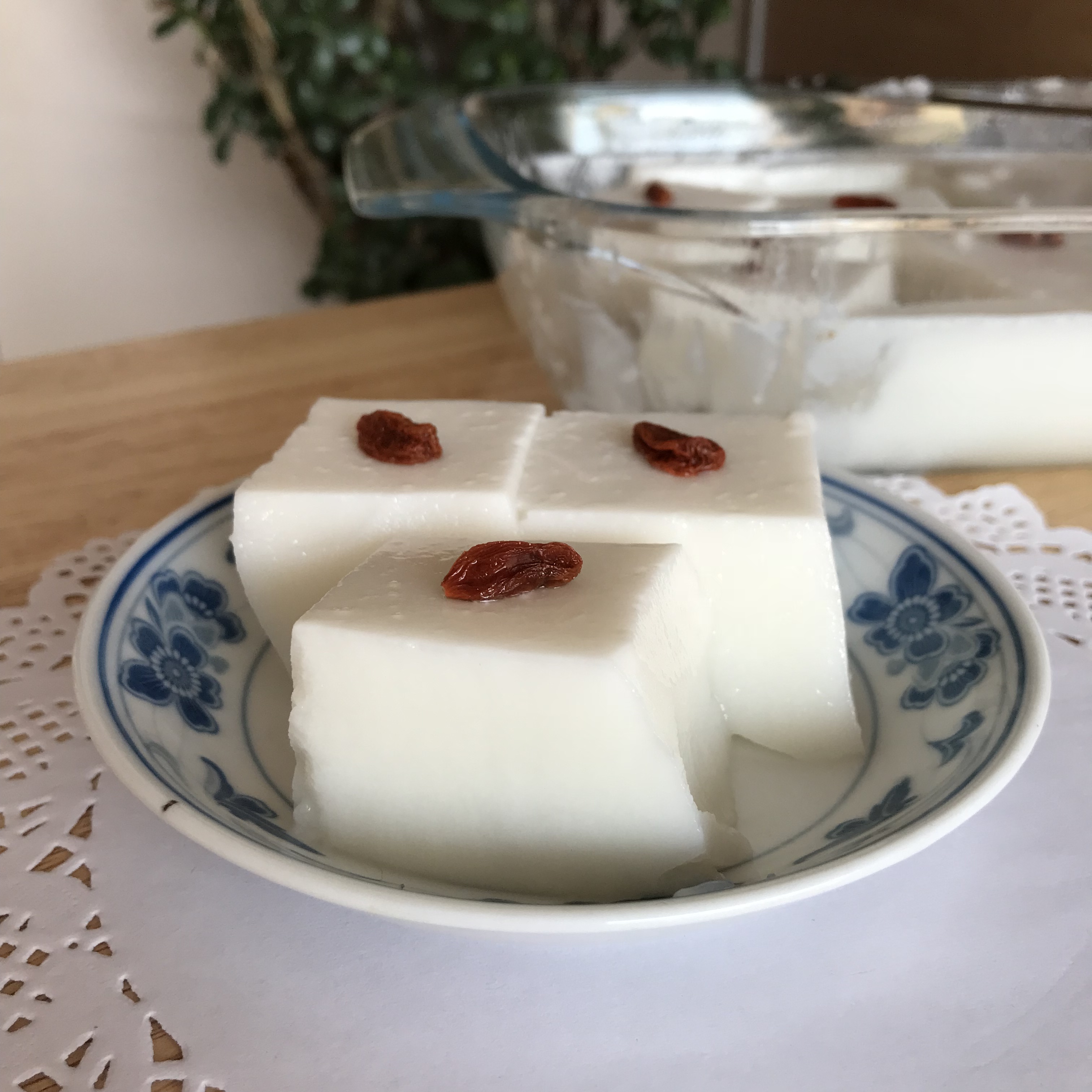 Coconut Milk Pudding Dim Sum (椰汁糕) – Andrew in the Kitchen